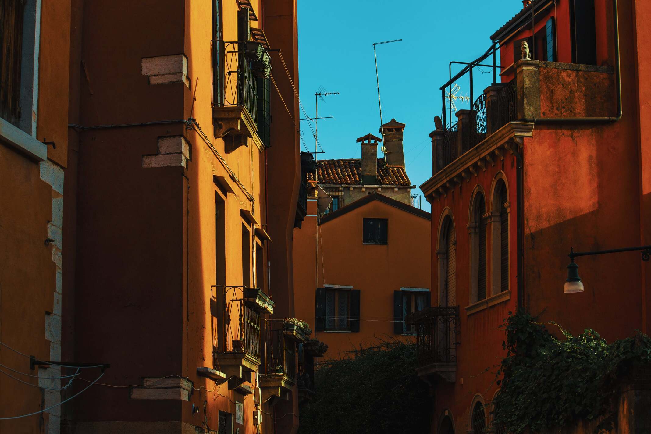 VantaBlack Portfolio